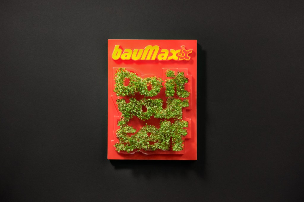 30 Jahre Baumax - Büro X
